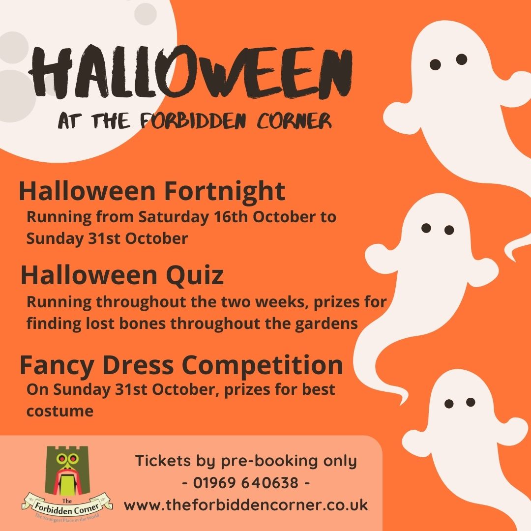 Latest News – The Forbidden Corner