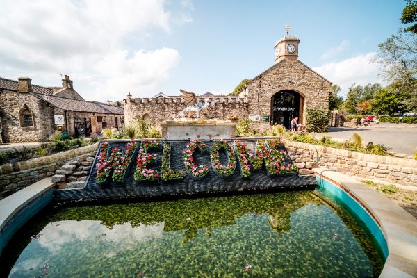 Group Visits – The Forbidden Corner