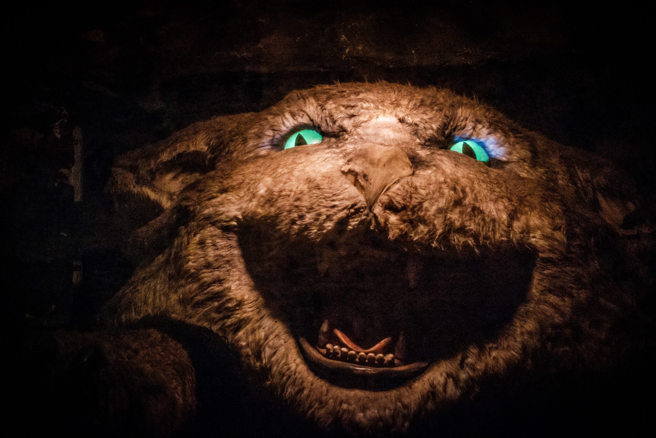 Upgrade for 2023 Cat and Mouse – The Forbidden Corner