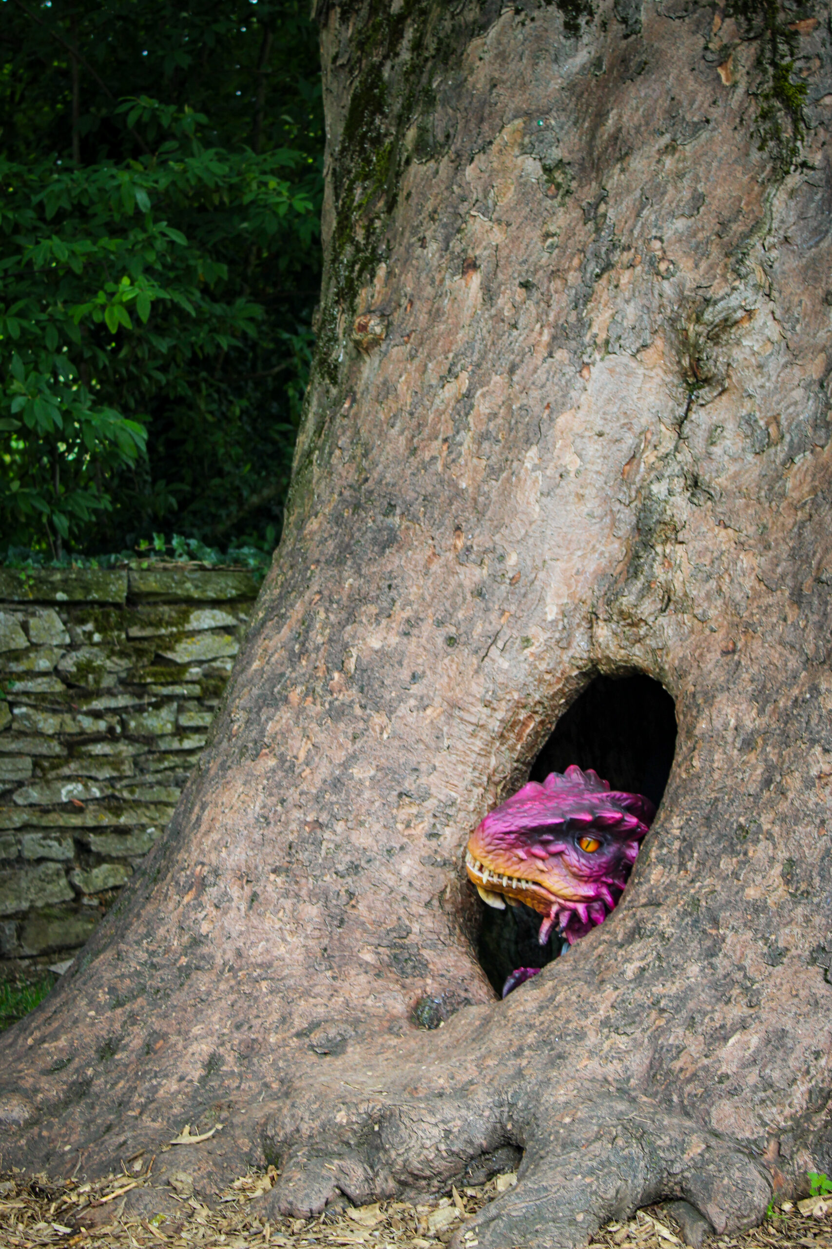 Our Gardens – The Forbidden Corner