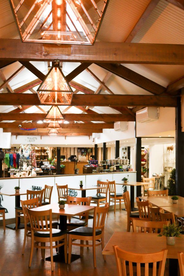 The Corner Café – The Forbidden Corner