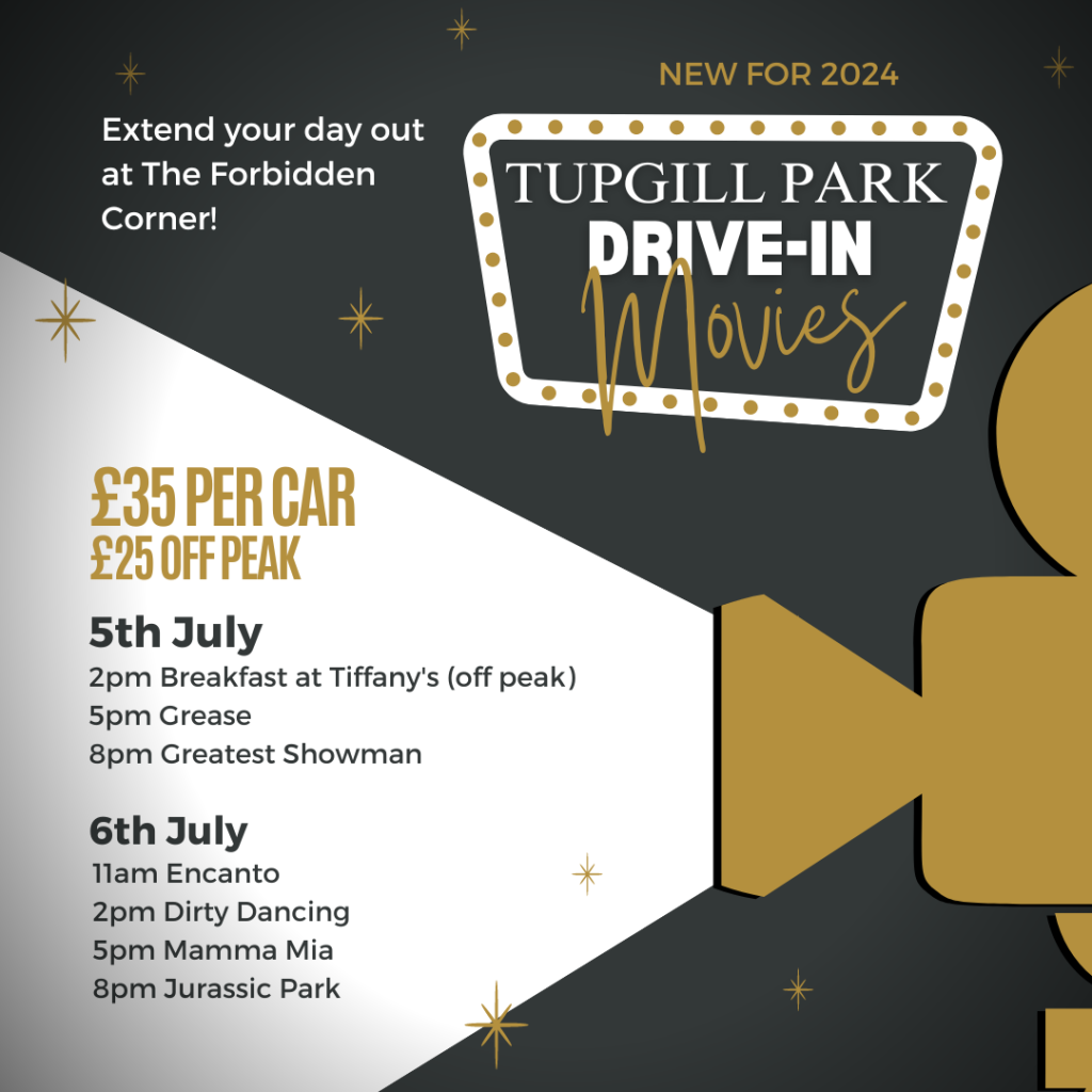Come & Discover – The Forbidden Corner