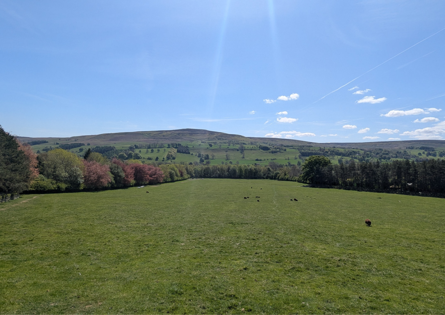 Summer Nights Just Got Even More Magical at The Forbidden Corner! – The ...